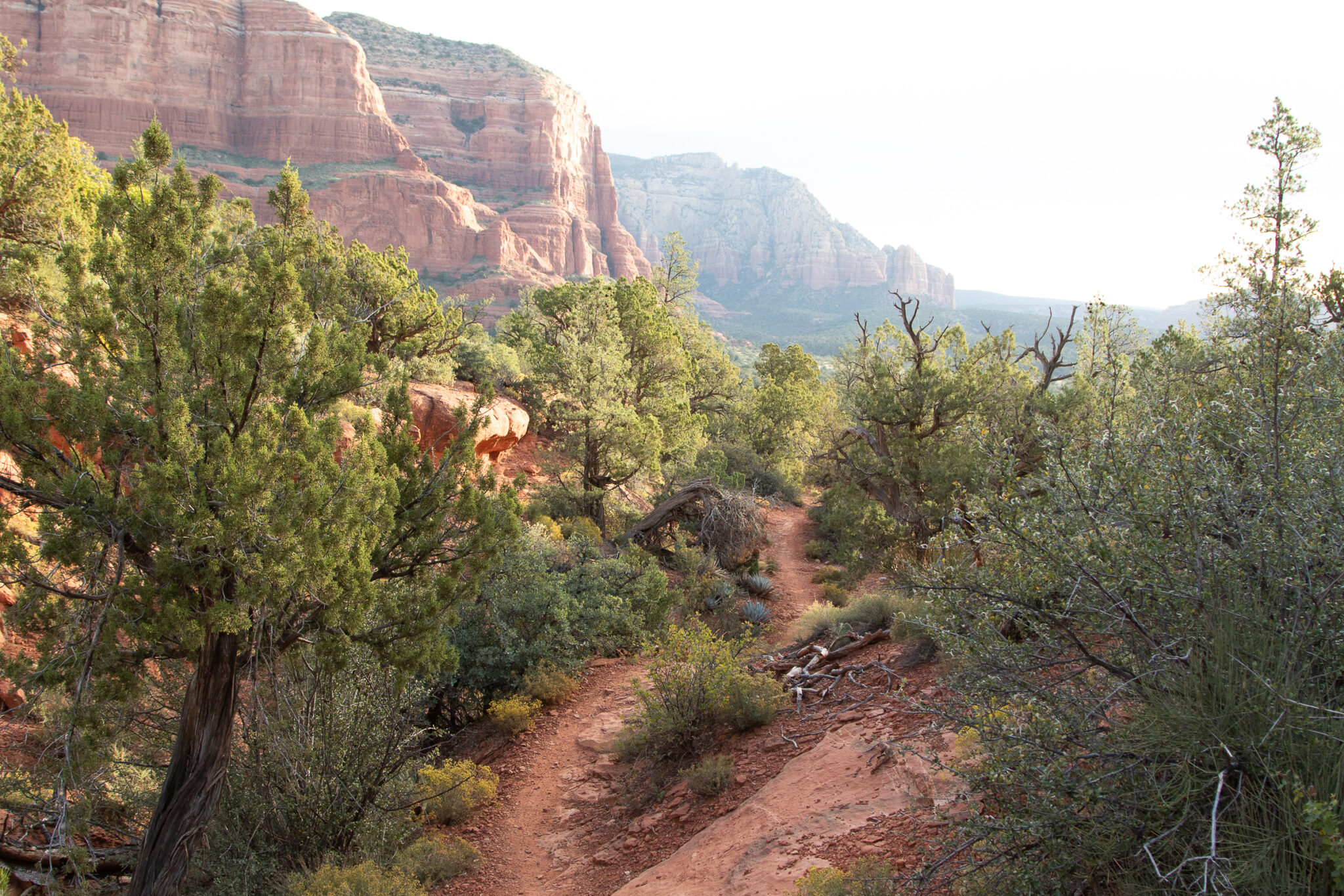 Advocates from 3 Mountain Bike Destinations Talk About Visitor Growth ...