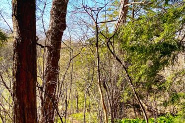 Springbank park Mountain Bike Trail in London, Ontario - Directions ...