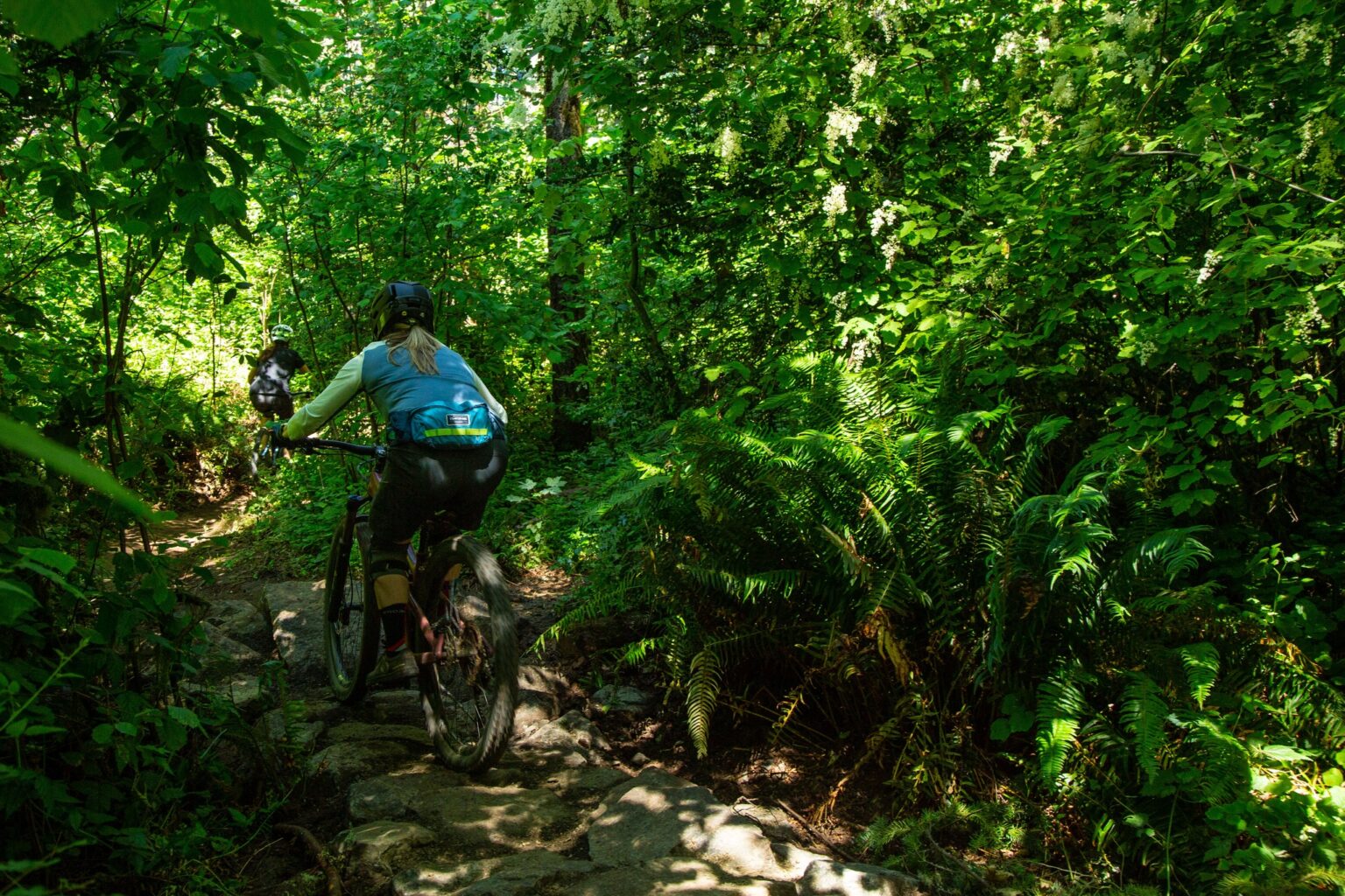 Bikers Finally Gain Access to Trail After 20 Years, New DH Trail in ...