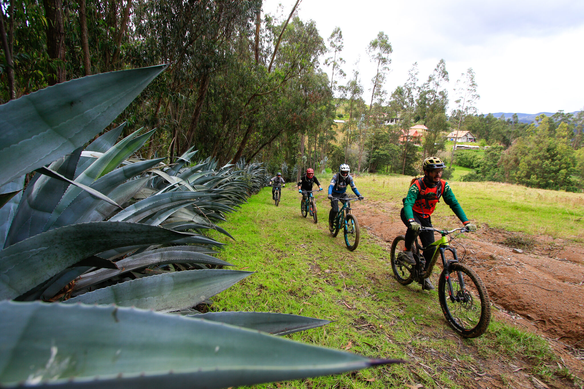 So You Want to be a Mountain Bike Guide...There's More Than Meets the ...