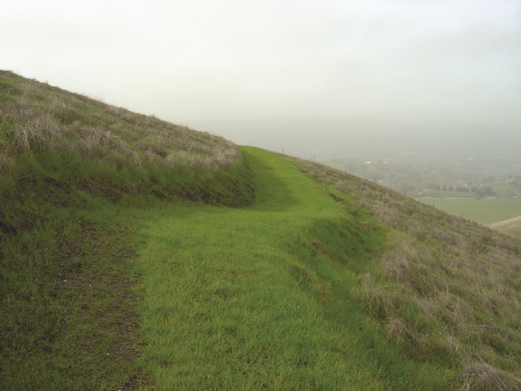 Jump or Drain? Everything you Wanted to Know About Grade Reversals on ...