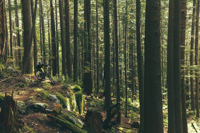 The Banshee Prime is a 135mm Trail Bike that Rides Much Bigger Than It ...