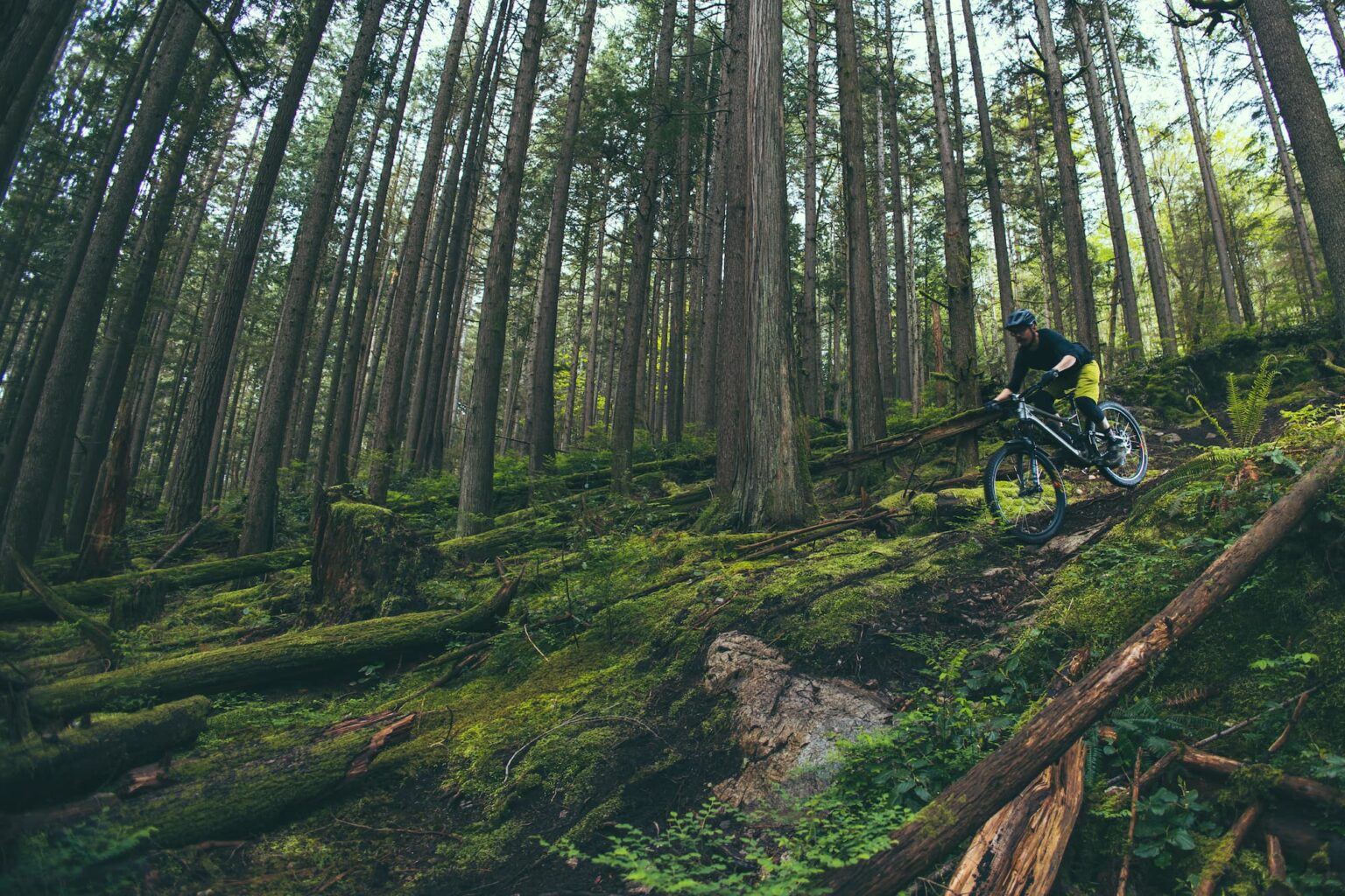 The Banshee Prime is a 135mm Trail Bike that Rides Much Bigger Than It ...