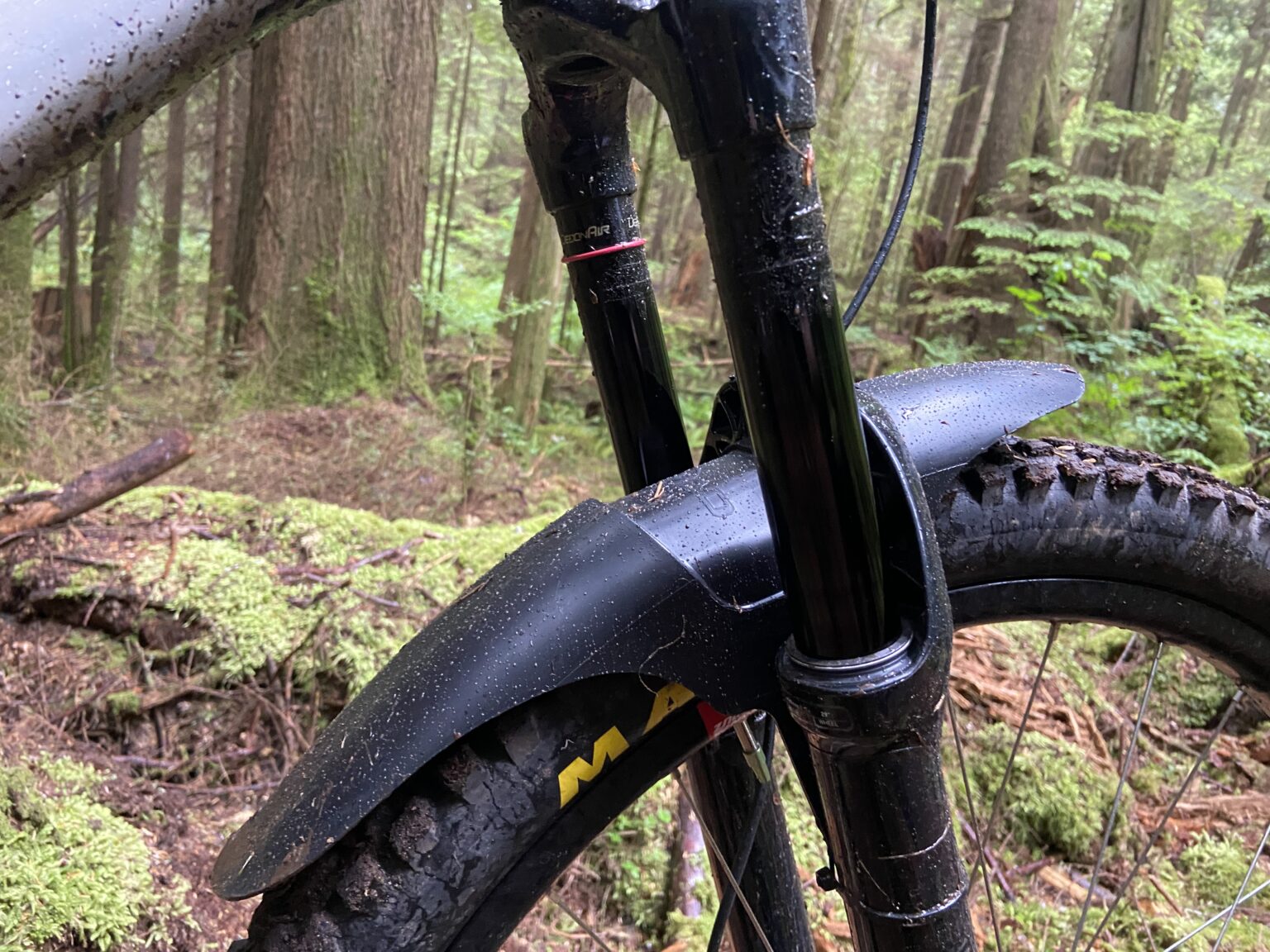 7 MTB Front Fenders Tested for Fall, From Minimal to Full-on ...