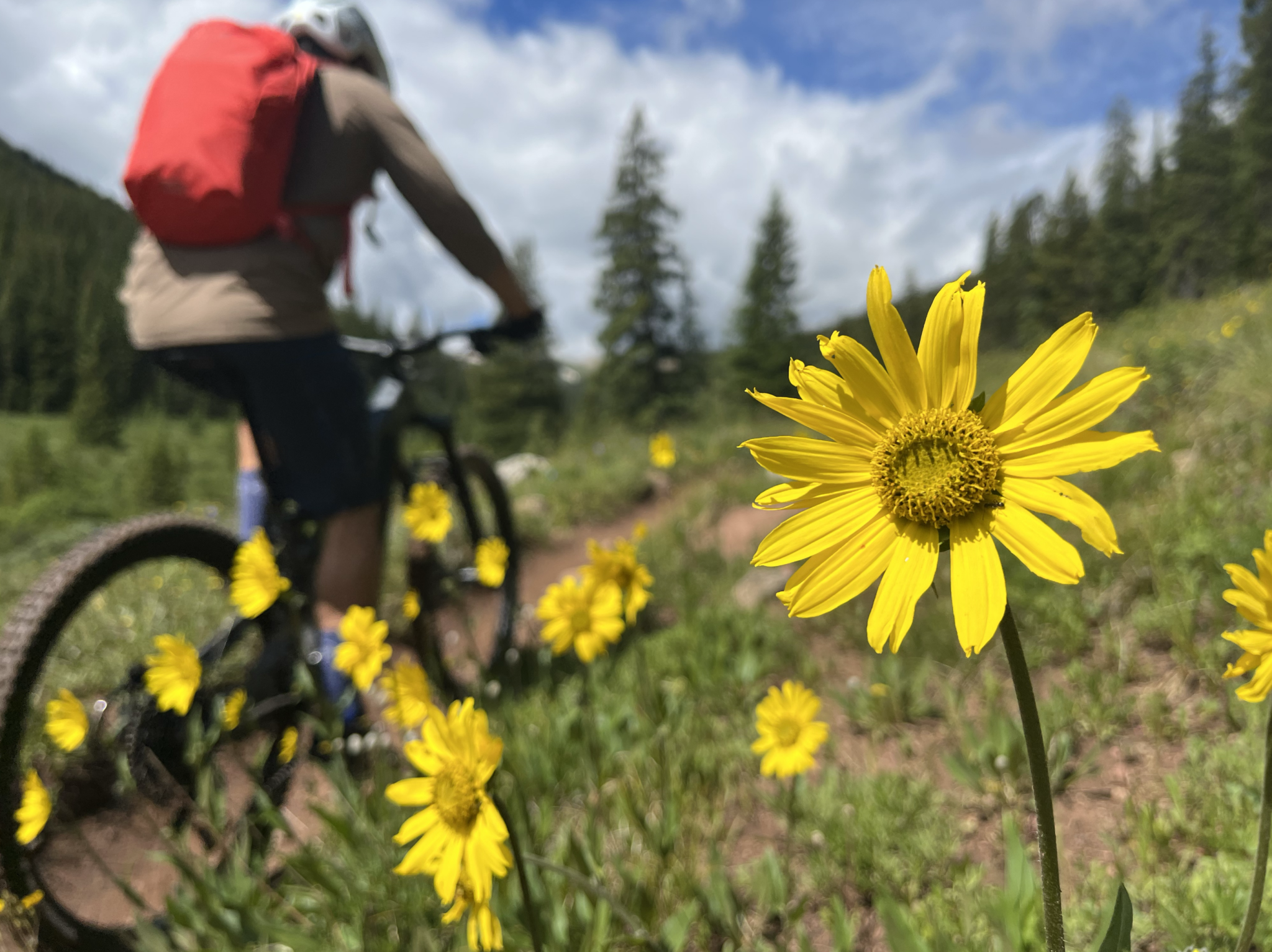 Three of the Best Alpine Mountain Bike Rides 90 Minutes from Denver ...