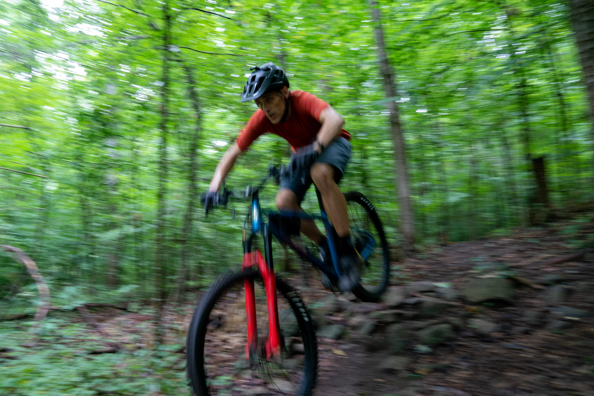 The Marin El Roy Hardtail is Very Slack, But it's not for Slackers ...
