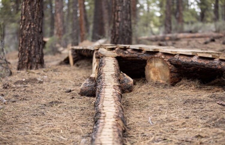 Skinnies Aren't Scary If You Know How To Ride Them Properly ...