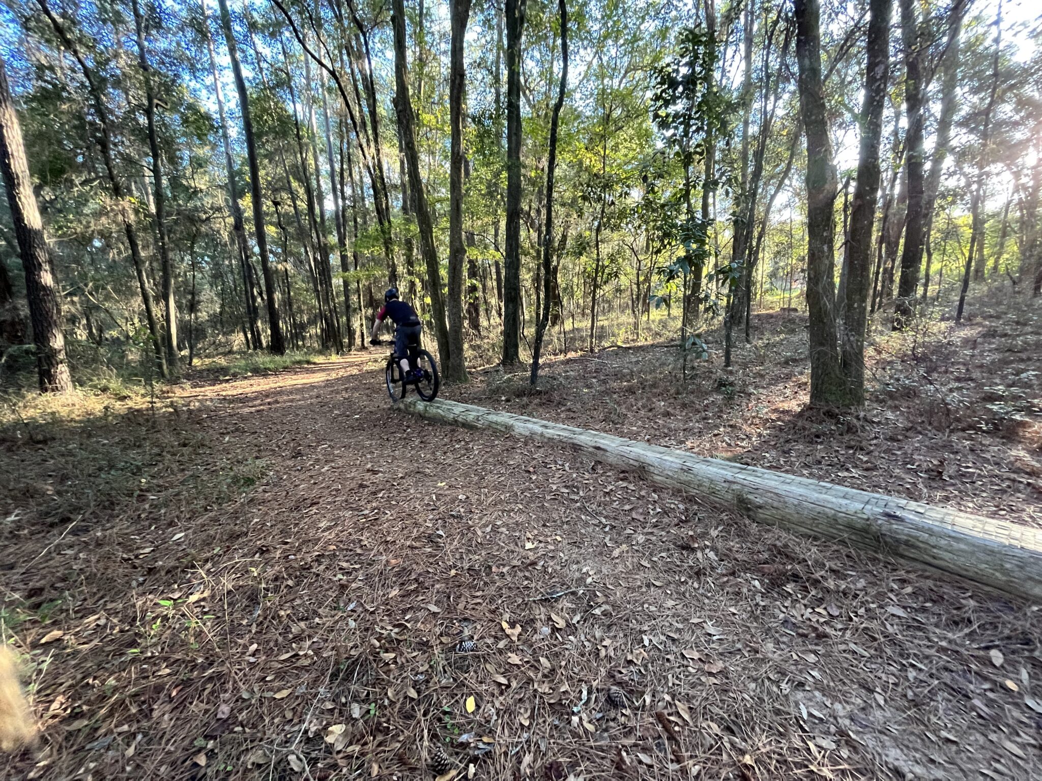 Skinnies Aren't Scary If You Know How To Ride Them Properly ...