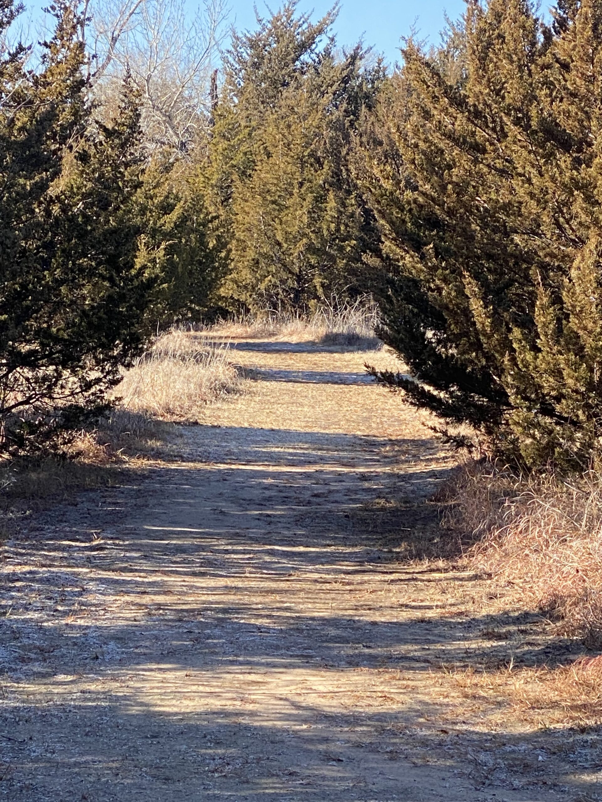 Cheney Lake Main Trail Mountain Bike Trail in Chaney, Kansas ...