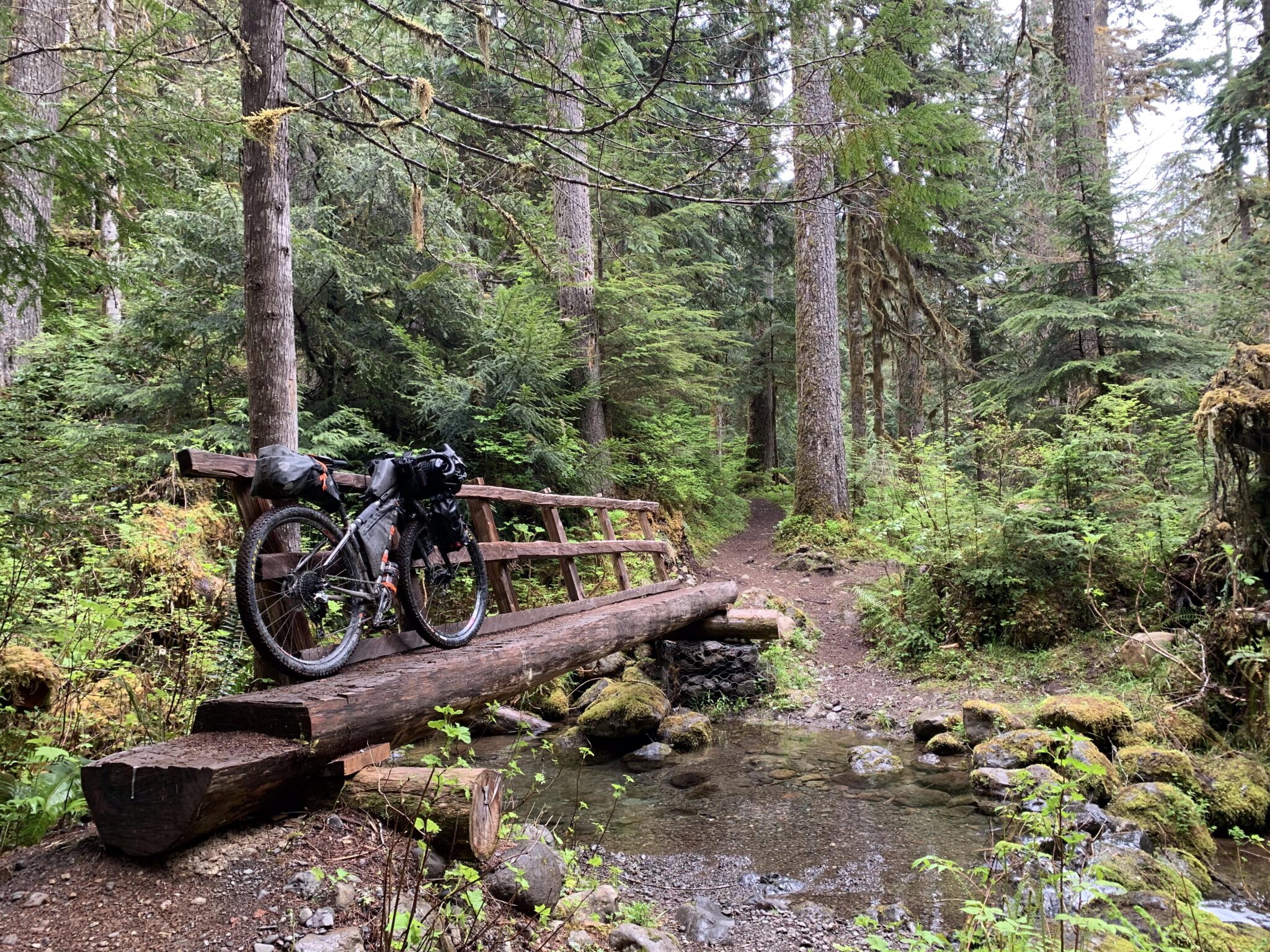 Everything you Need to Know About the Cross-Washington Mountain Bike ...