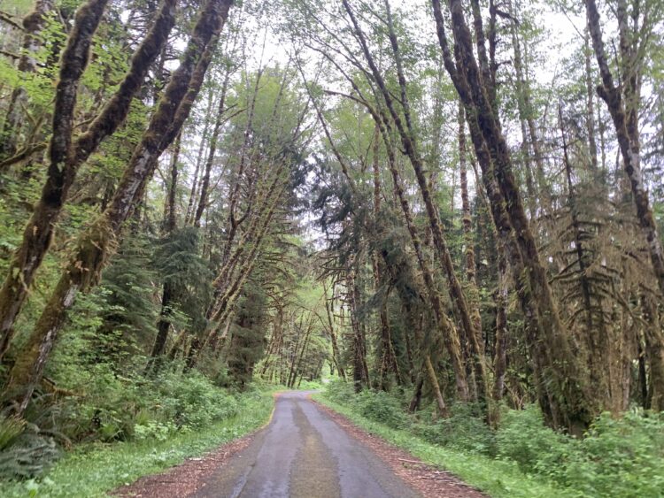 Everything you Need to Know About the Cross-Washington Mountain Bike ...