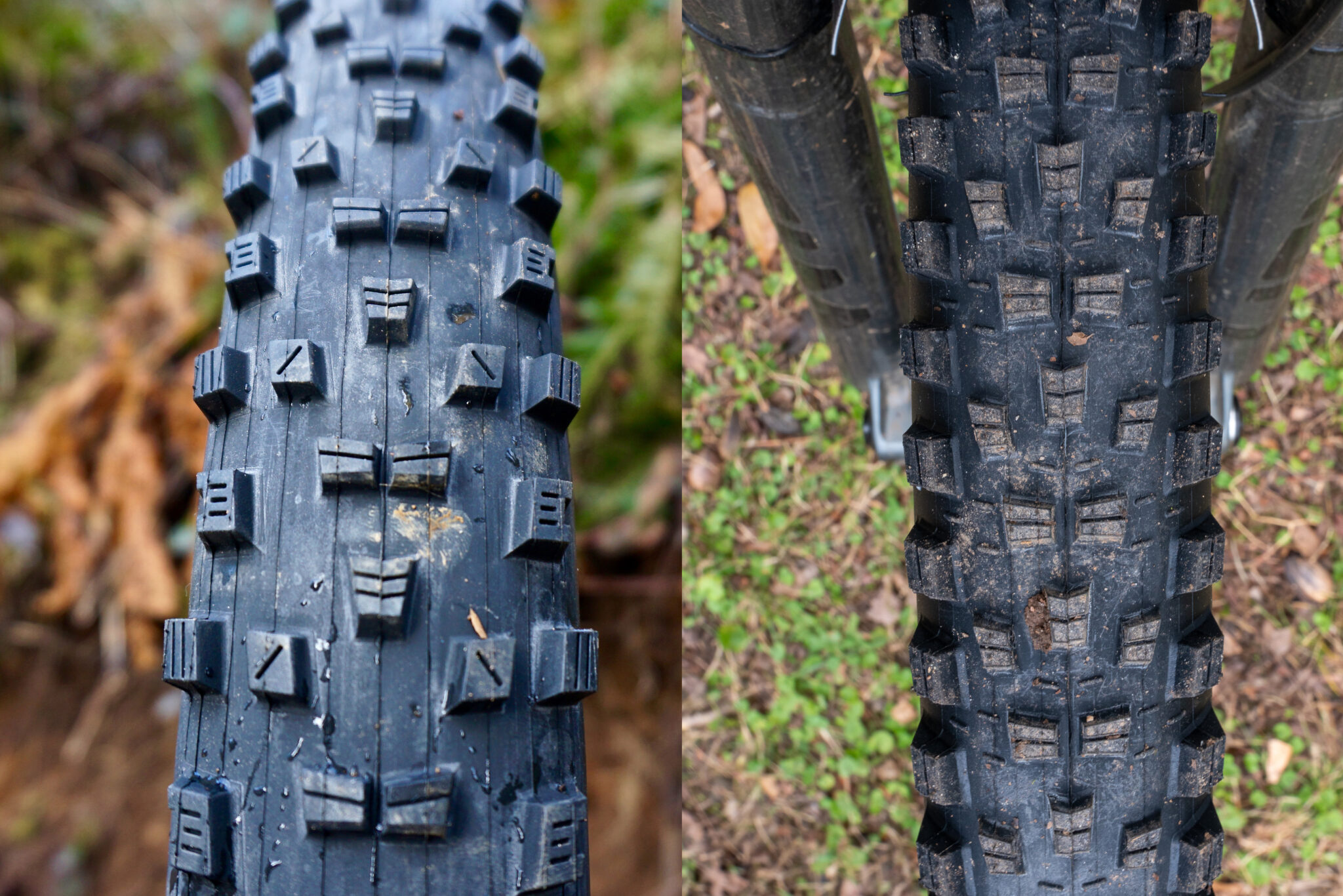 The New Maxxis Forekaster Rolls into Downcountry Territory [Review ...