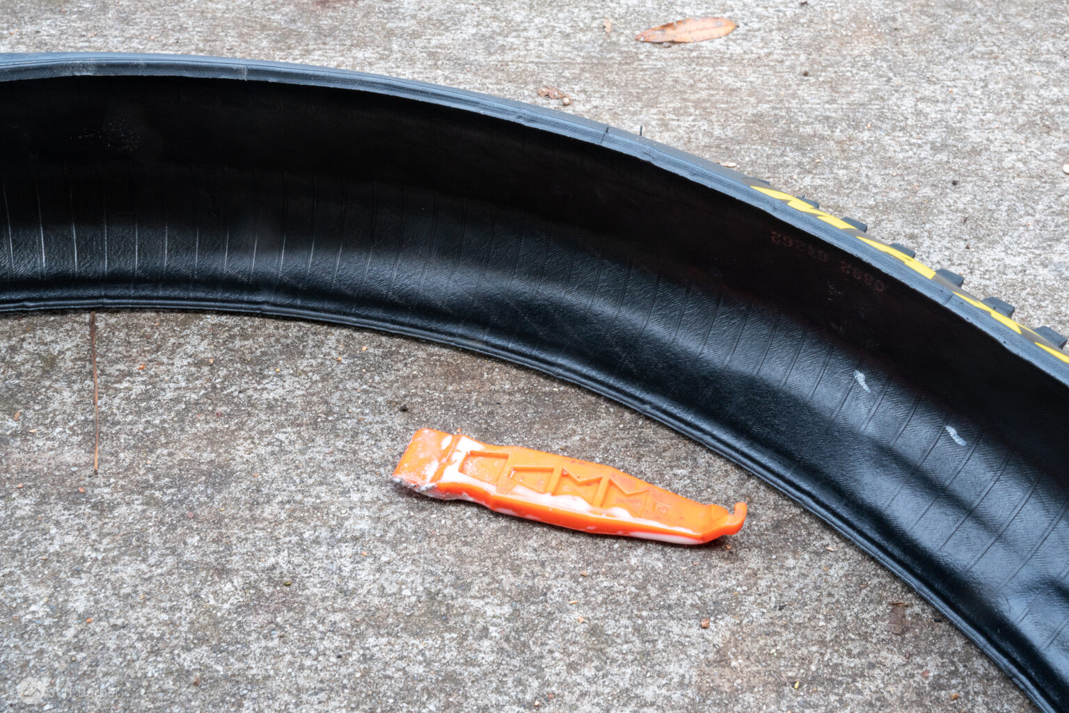 The New Maxxis Forekaster Rolls into Downcountry Territory [Review ...