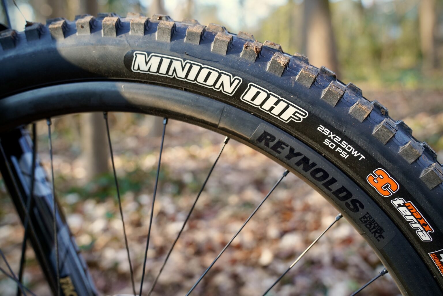 The Maxxis Minion DHF Tire is Still the One to Beat [Review] - Singletracks Mountain Bike News