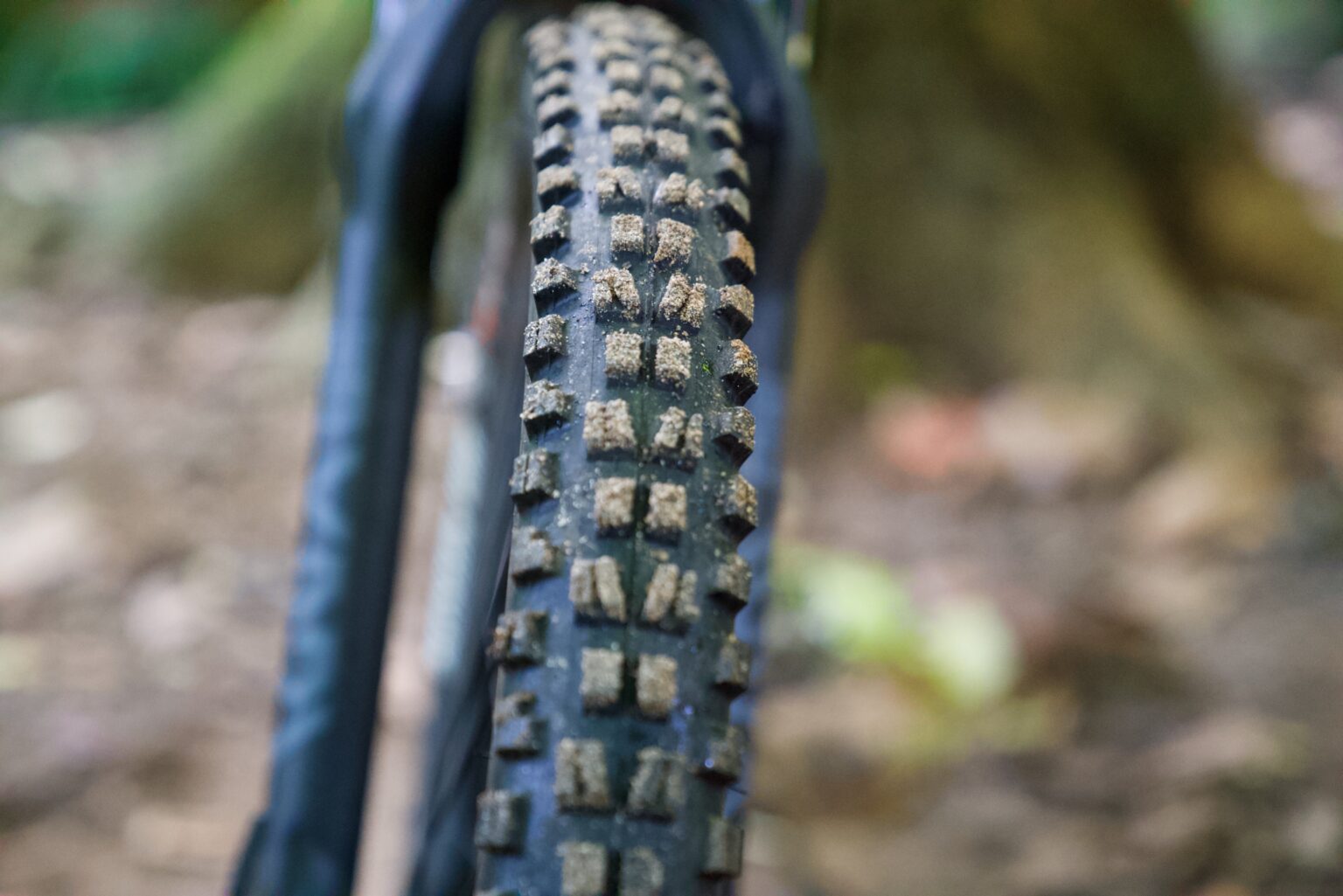 The Maxxis Minion DHF Tire is Still the One to Beat [Review] - Singletracks Mountain Bike News