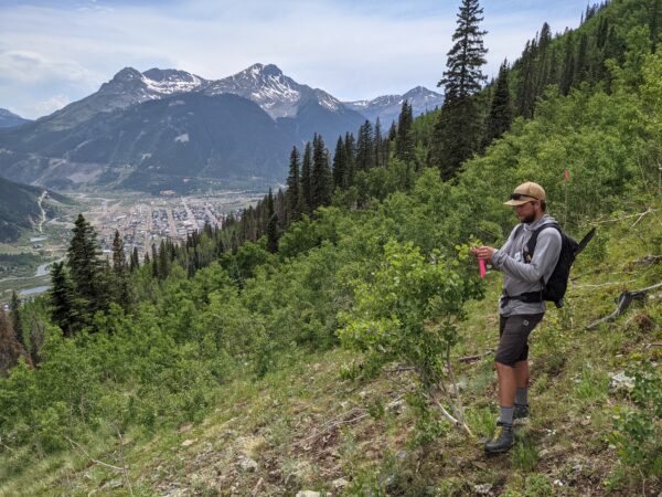 The Outstanding MTB Trail Projects and Volunteers of 2023 ...