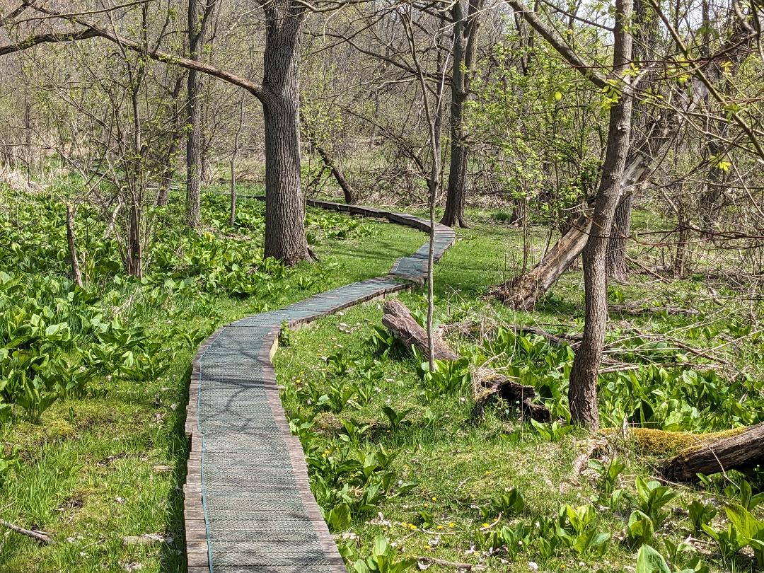 Heritage Park Mountain Bike Trail in Adrian, Michigan - Directions ...