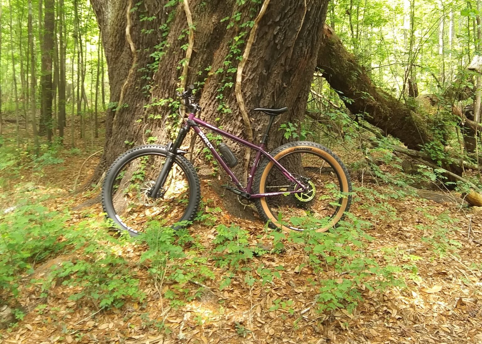 Triumph Over Tabletops and Doubles on your Mountain Bike With These ...