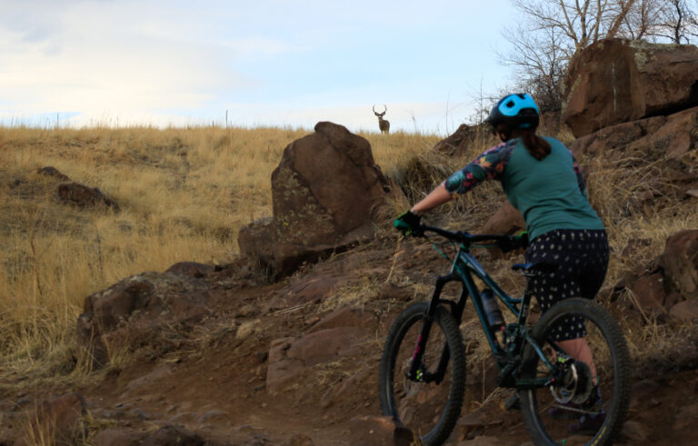 What's the Coolest Wildlife You've Seen on a MTB Ride? - Singletracks ...