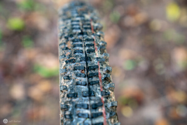 Schwalbe Racing Ralph Tire Review - Singletracks Mountain Bike News