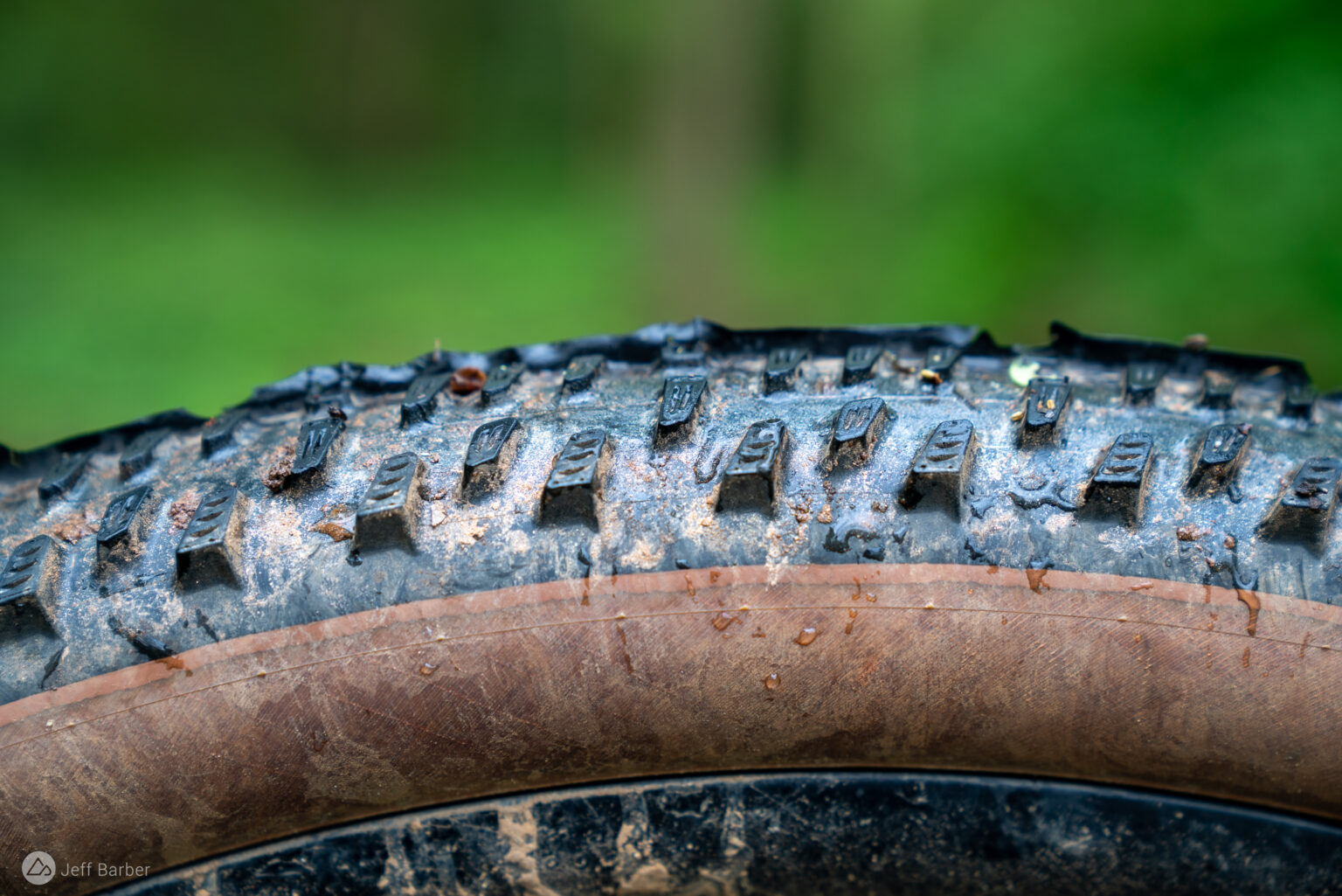 Schwalbe Racing Ralph Tire Review - Singletracks Mountain Bike News