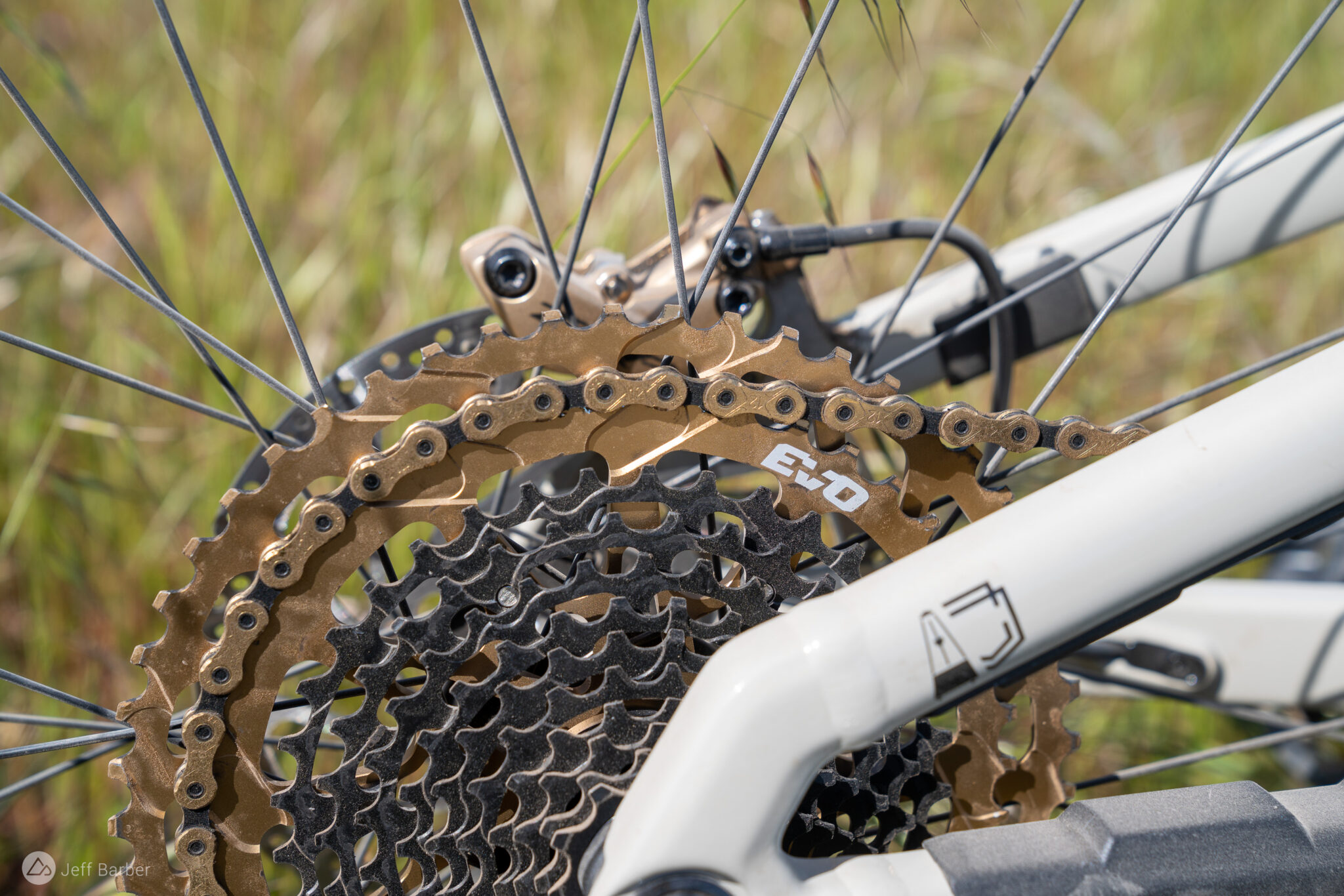 TRP 12-speed Drivetrain First Ride - Singletracks Mountain Bike News