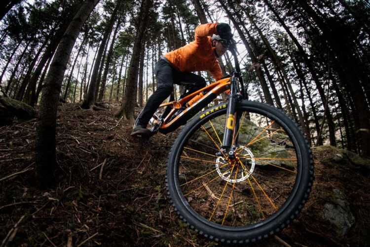 New 203mm Shimano Rotors, Forge + Bond Wheels, and a Cool Treetop Tent ...