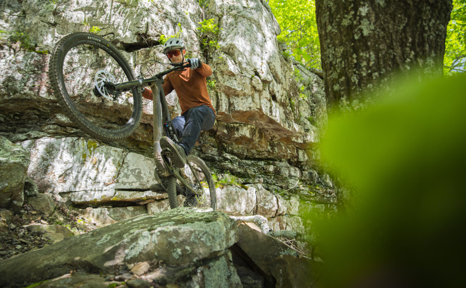 Best July 4th MTB Deals on Tires, Apparel, and Kashima - Singletracks ...