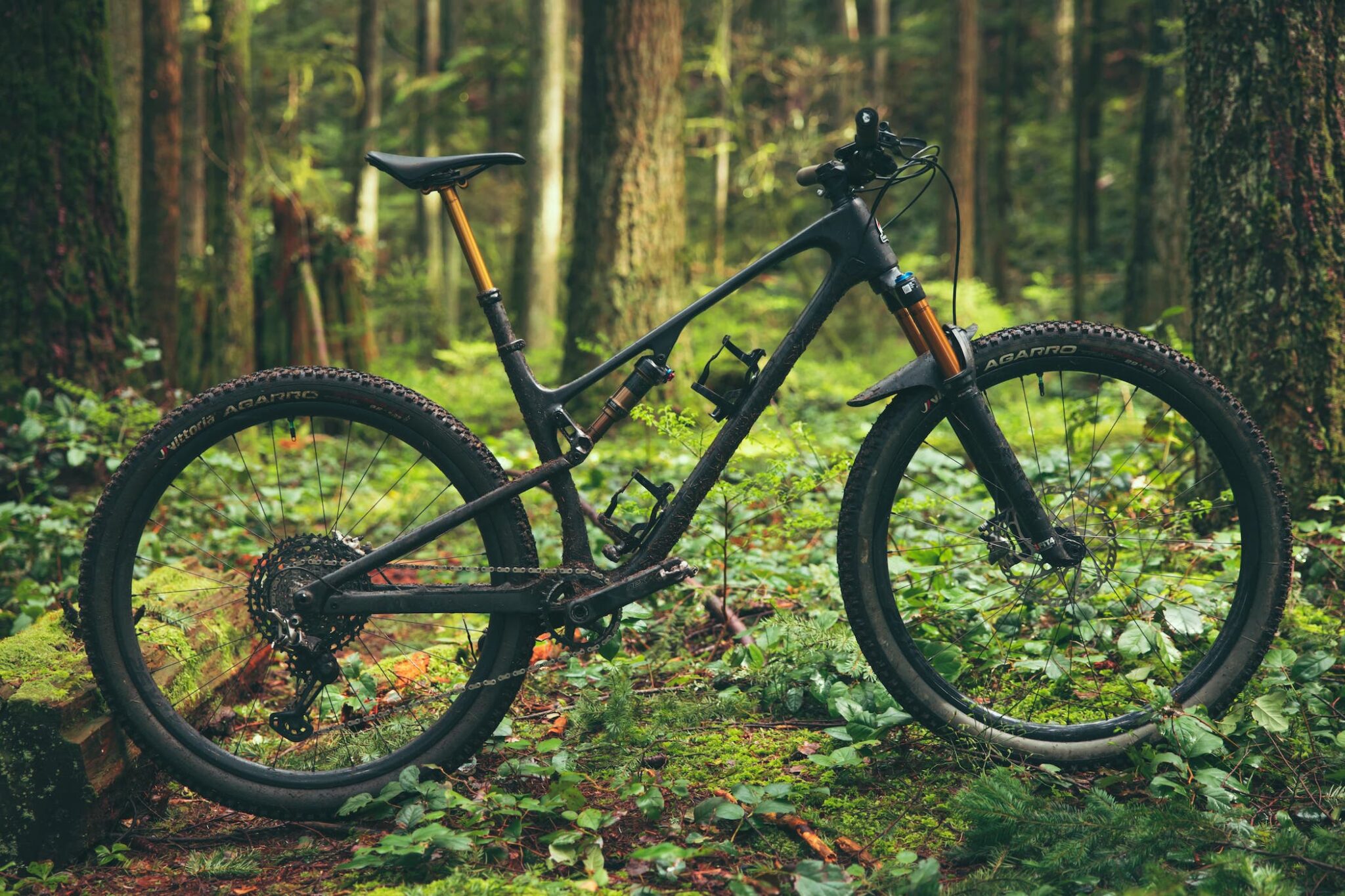 The 2024 Rocky Mountain Element Blurs the Lines Between XC and Enduro ...