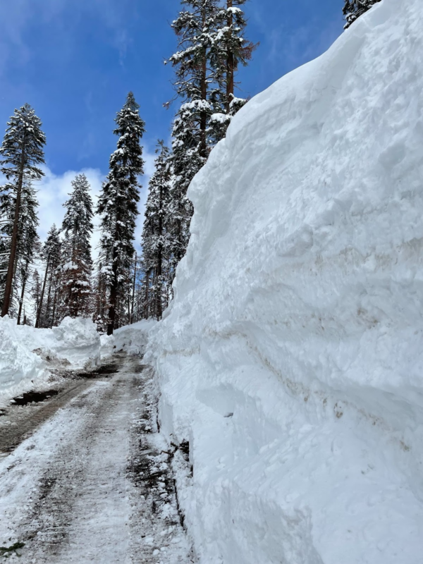 How California's Record Snowfall Will Affect Bike Parks This Year ...