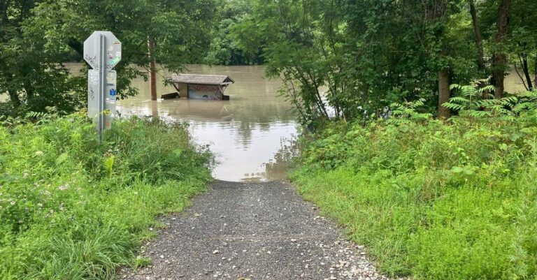 IMBA, Shimano Projects around U.S., and Help Vermont Trails After ...