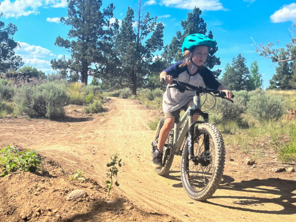 Is $1,000 Too Much to Spend on a Kid's Bike? I Tried to Find Out ...