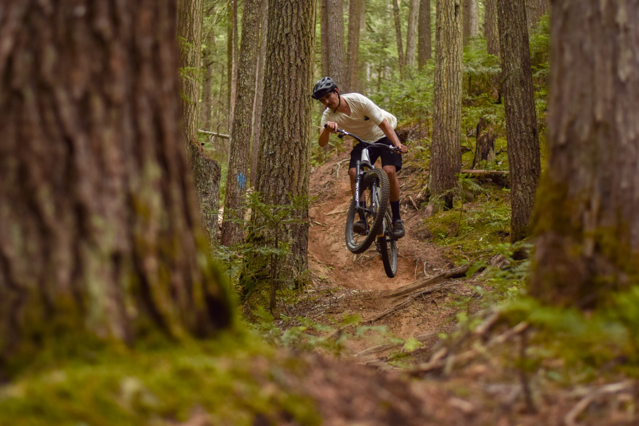 Forbidden Druid V2 Test Ride Review - Singletracks Mountain Bike News