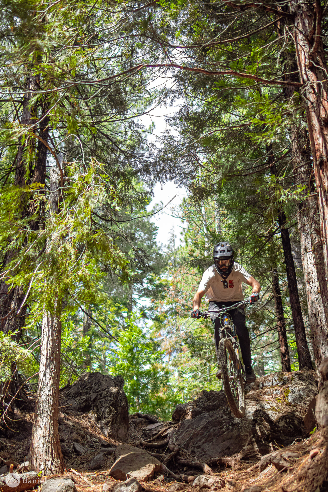 2023 Norco Sight Does it all, From Local Trails to the Backcountry ...