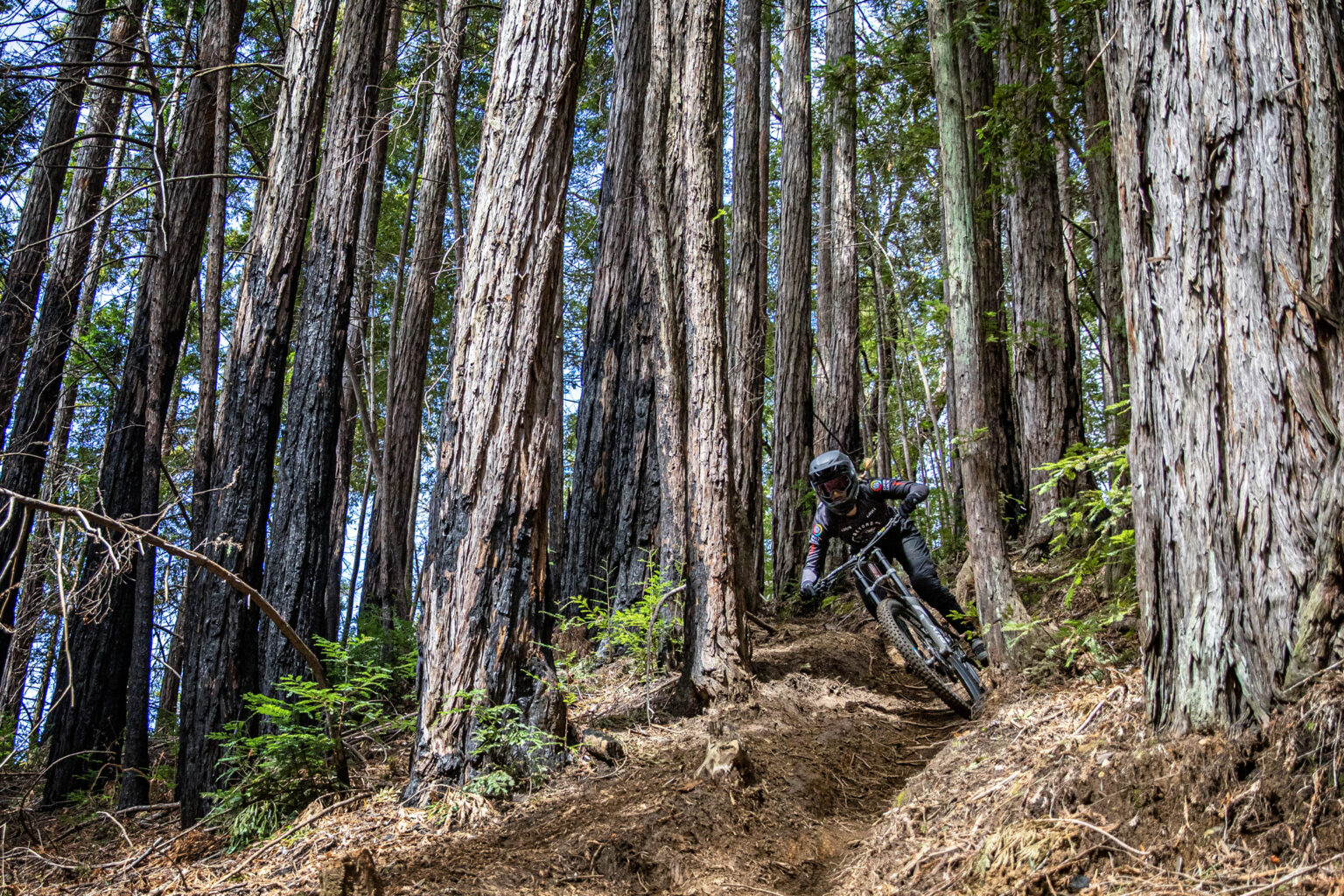 Anna Newkirk is Putting the U.S. Back into Women's DH World Cup Racing ...