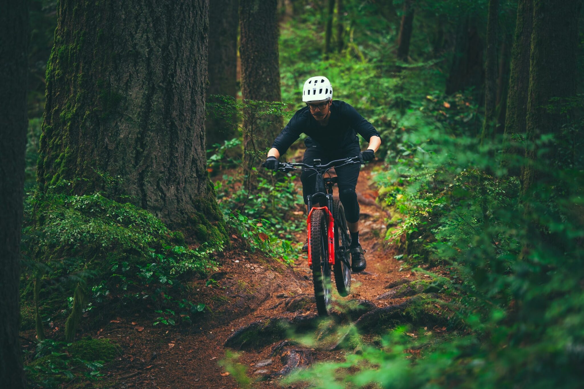 $2,600 GT Sensor Comp Trail Bike Review - Singletracks Mountain Bike News