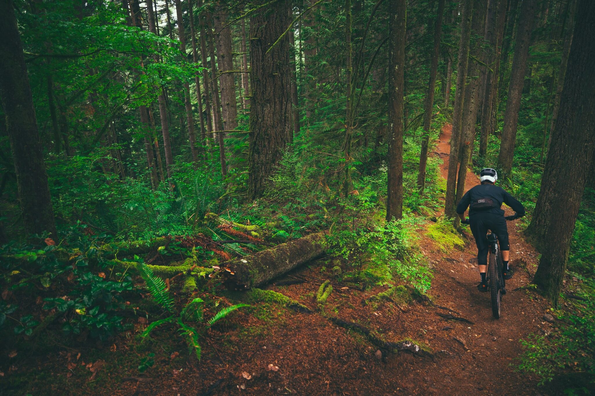 $2,600 GT Sensor Comp Trail Bike Review - Singletracks Mountain Bike News