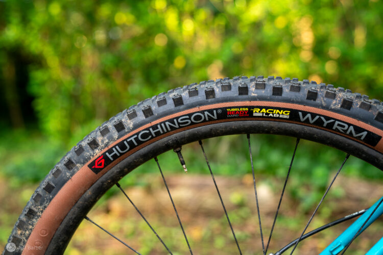 Hutchinson Wyrm Tire Review 🐉 - Singletracks Mountain Bike News