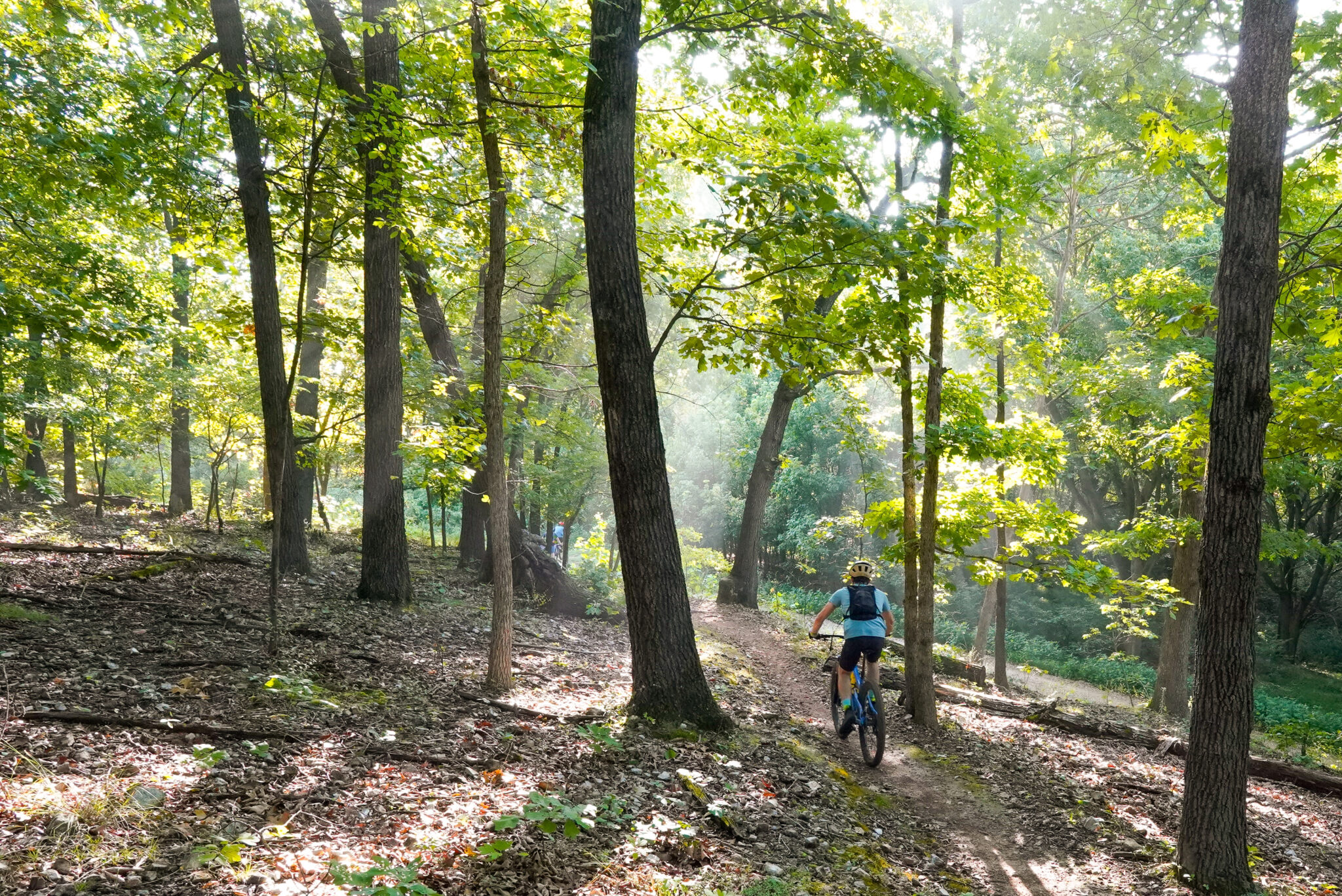 Coler Mountain Bike Preserve Mountain Bike Trail in Bentonville ...