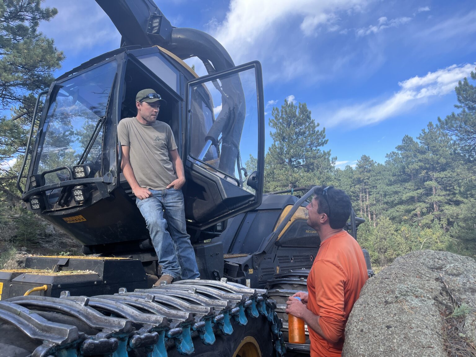 Why Land Management Agencies are Cutting Down Trees to Save the Forest ...