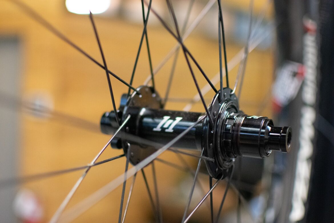 How to Service Your Mountain Bike Freehub at Home - Singletracks ...