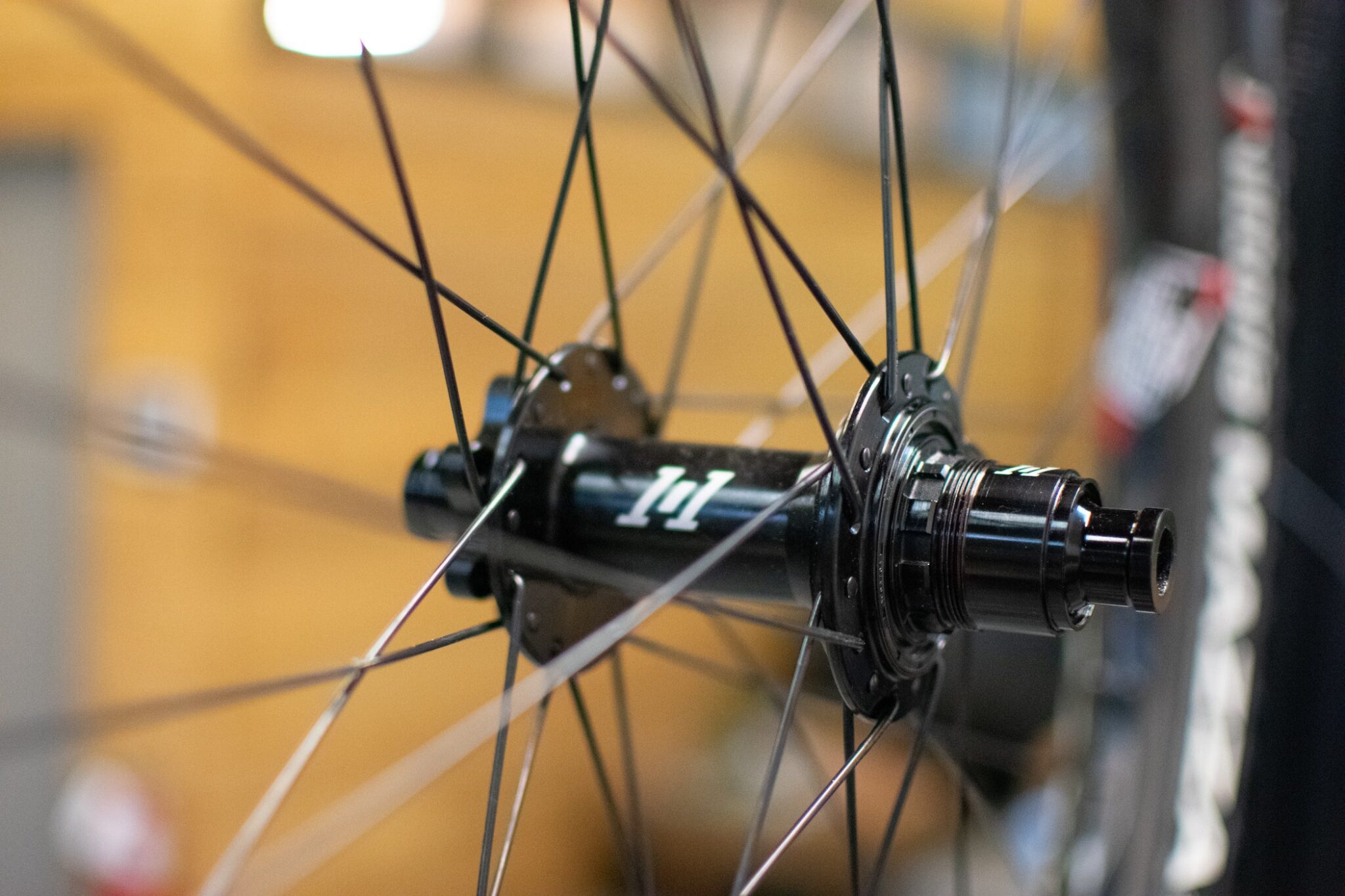 How to Service Your Mountain Bike Freehub at Home - Singletracks ...