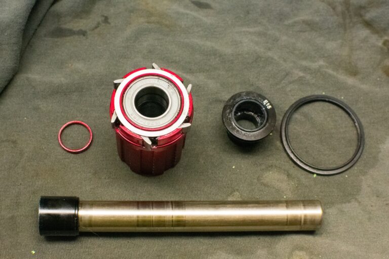 How to Service Your Mountain Bike Freehub at Home - Singletracks ...