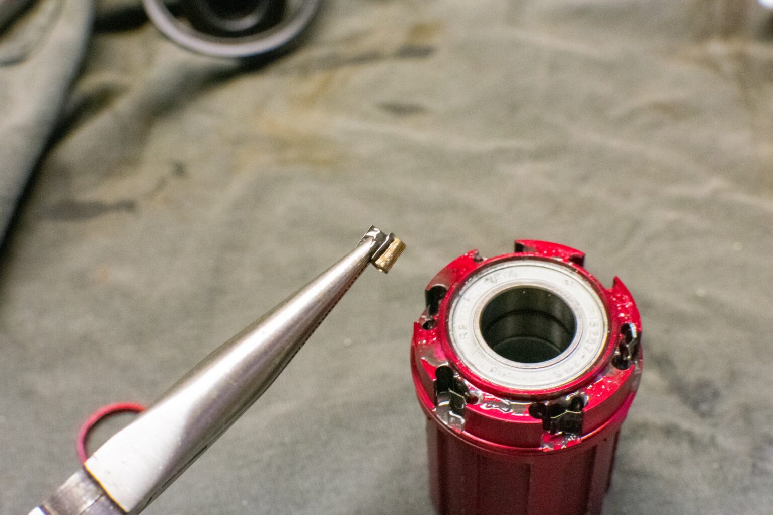 How to Service Your Mountain Bike Freehub at Home - Singletracks ...