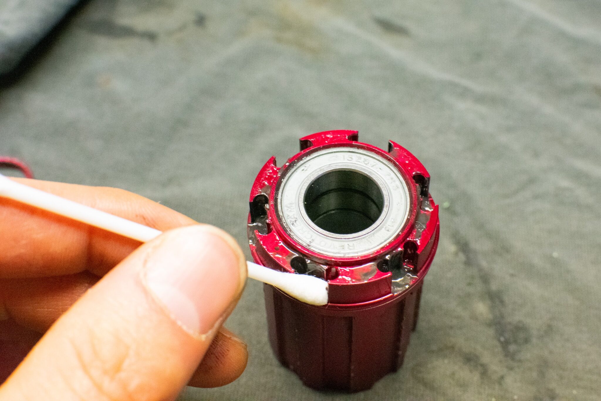 How to Service Your Mountain Bike Freehub at Home - Singletracks ...