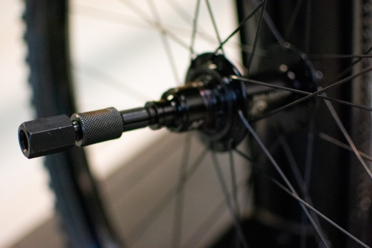 How to Service Your Mountain Bike Freehub at Home - Singletracks ...