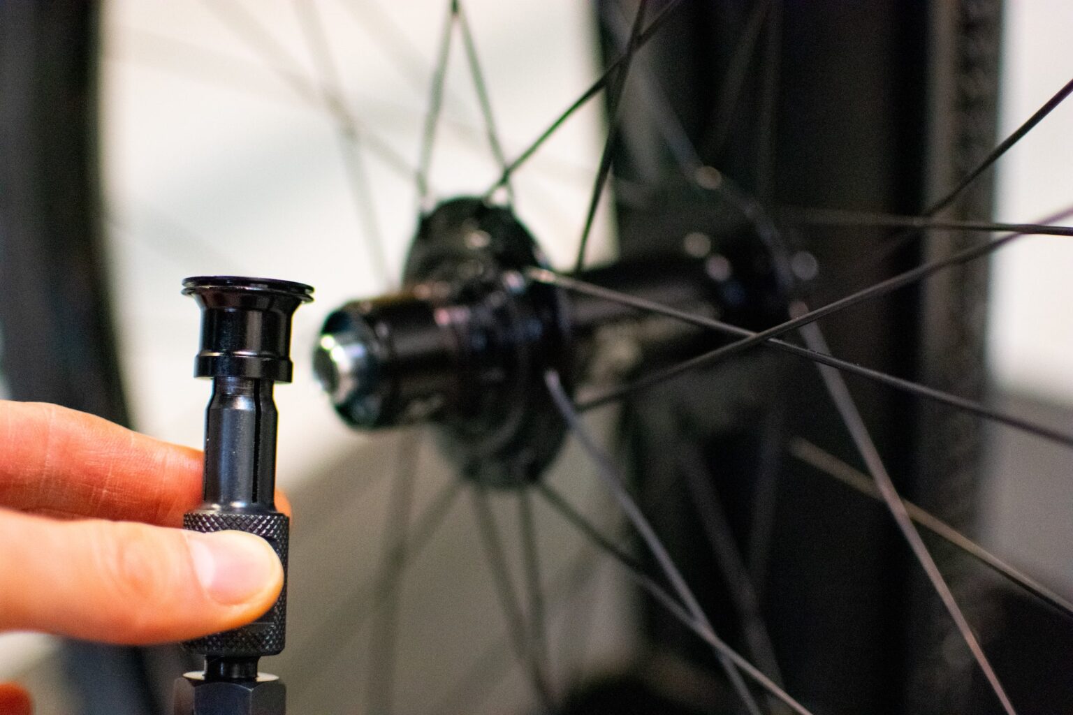 How to Service Your Mountain Bike Freehub at Home - Singletracks ...