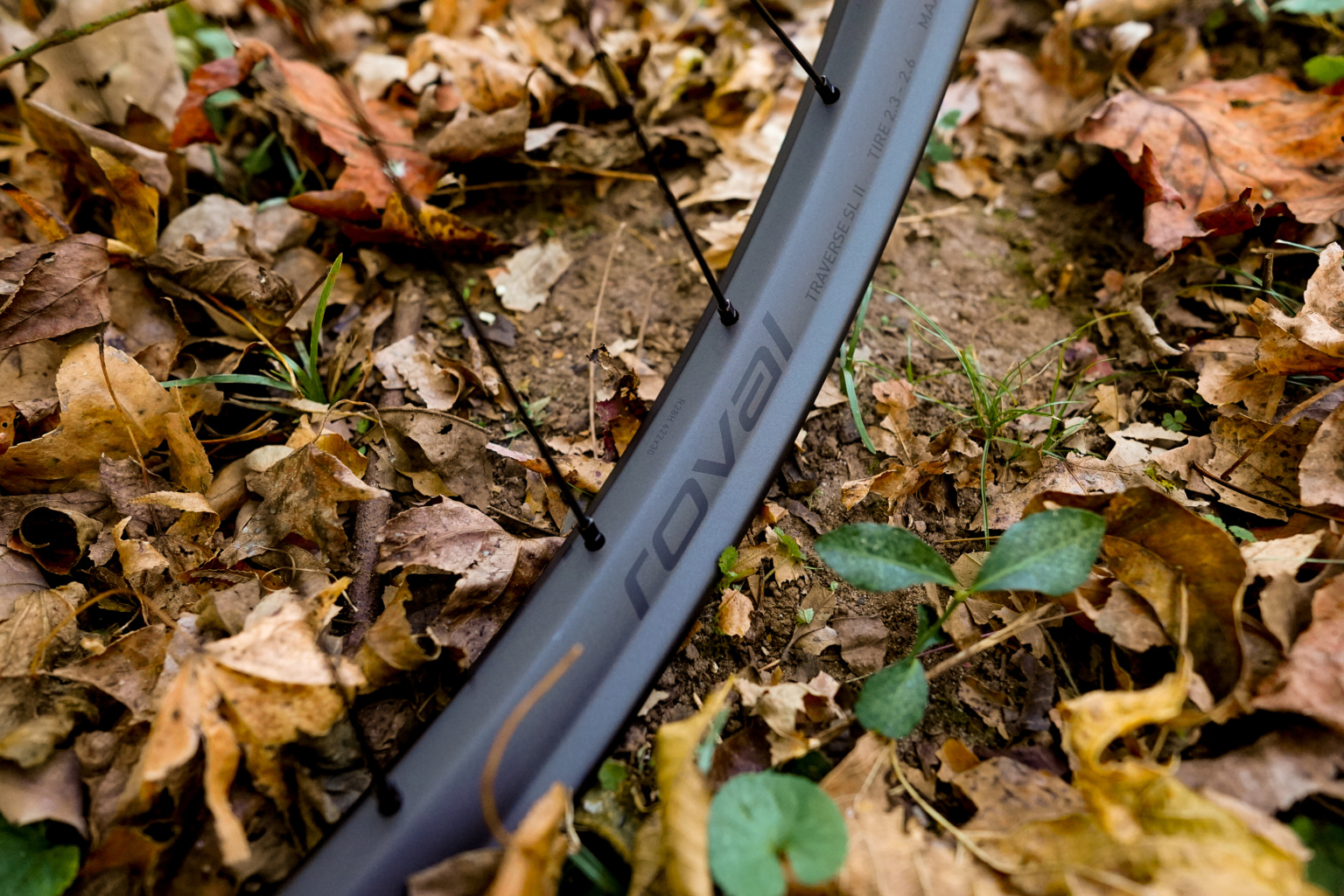 Roval Traverse SL II Stand Up to Alloy-Level Abuse [Review ...