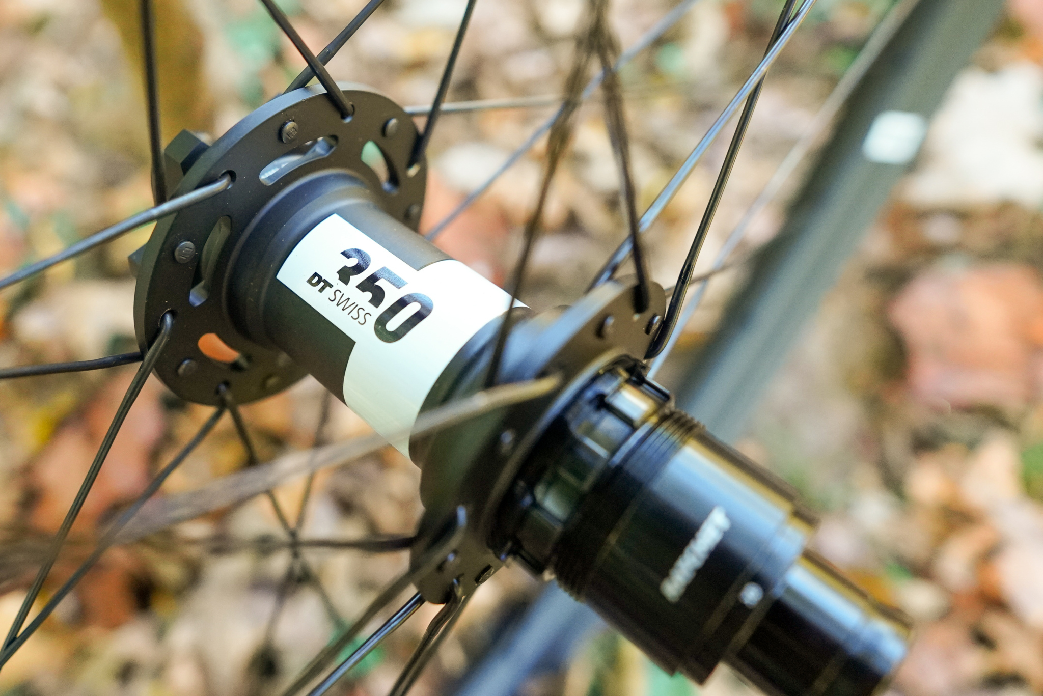 Roval Traverse SL II Stand Up to Alloy-Level Abuse [Review ...