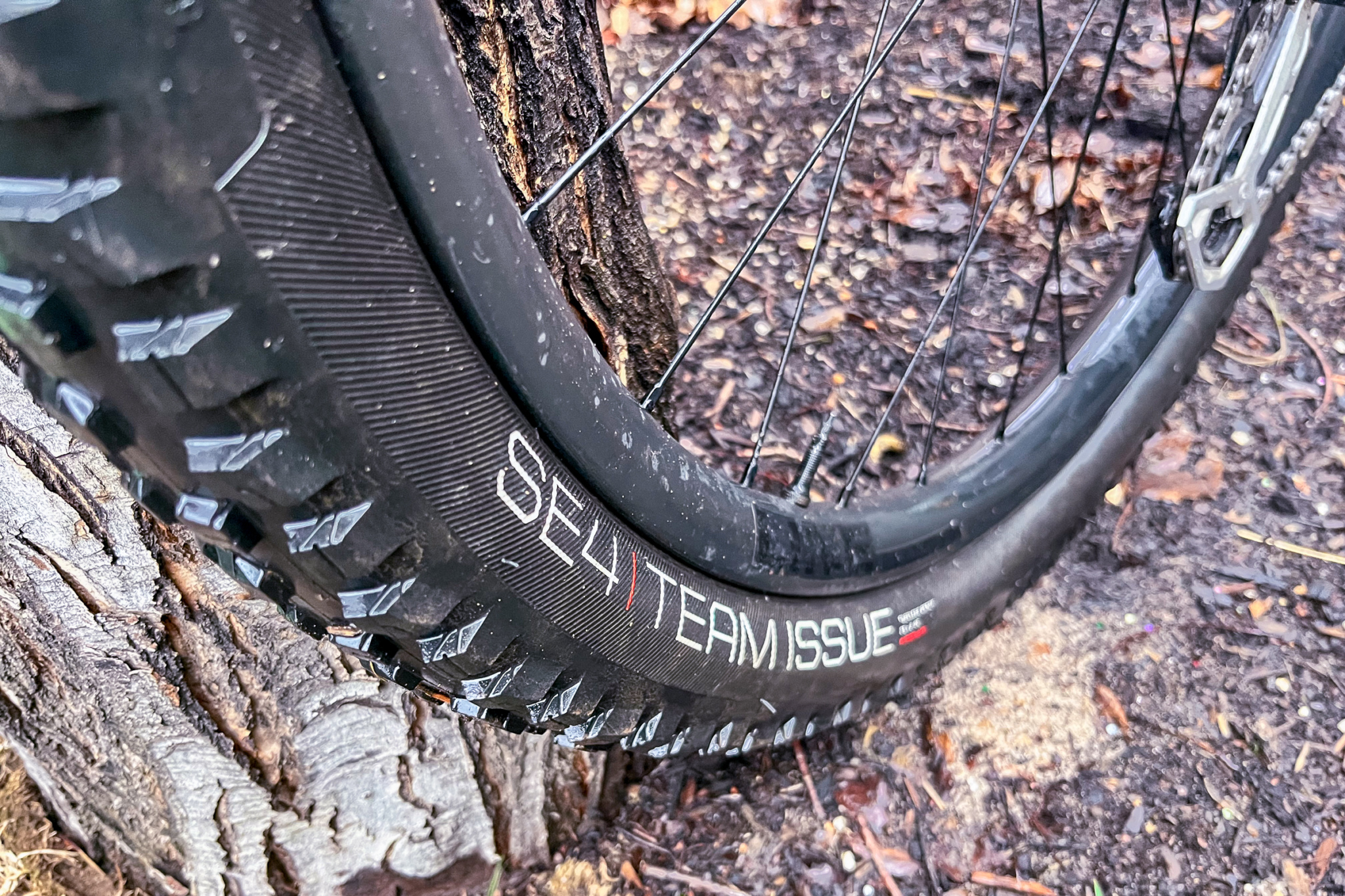 Bontrager SE4 Team Issue Tire: Good All-Around but Stay out of the Mud ...